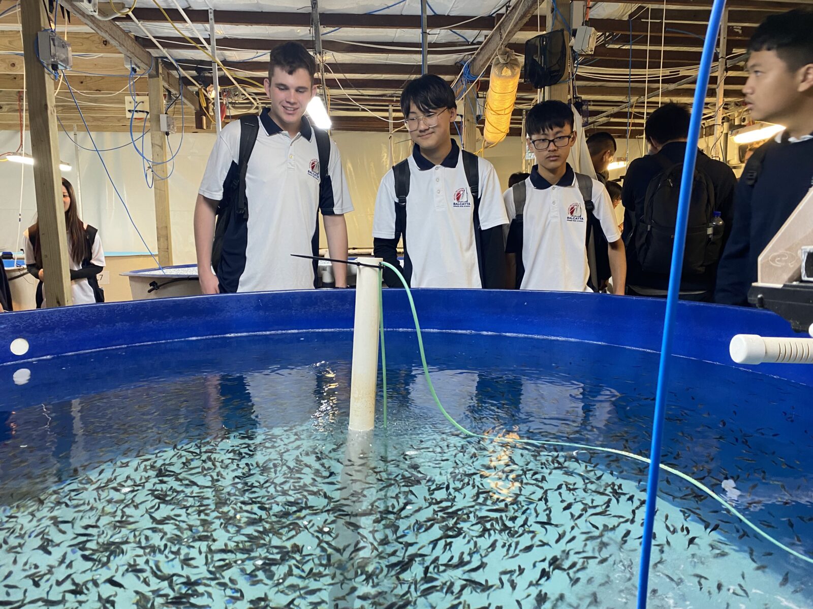 Engaging secondary students in agricultural careers | AgriFutures Australia