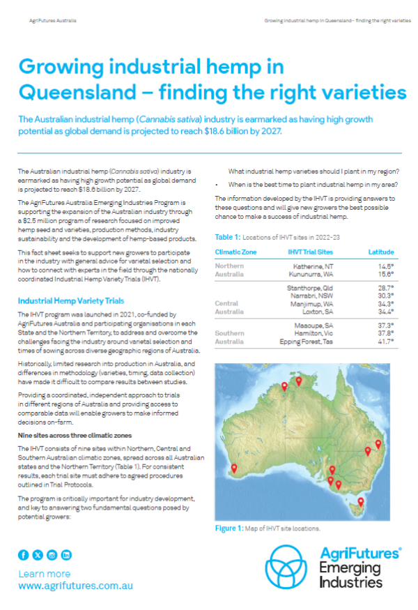 Fact sheet: Growing industrial hemp in Queensland | AgriFutures Australia