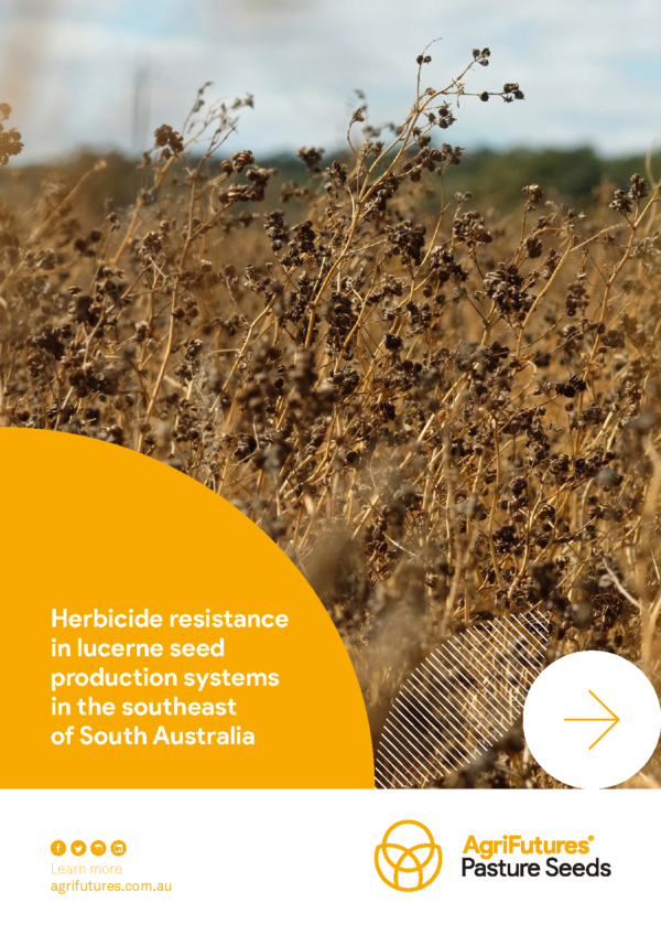 Project snapshot: Herbicide resistance in lucerne seed production ...