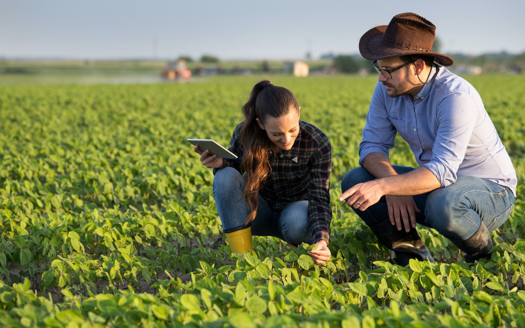 Increasing community support for rural industries | AgriFutures Australia