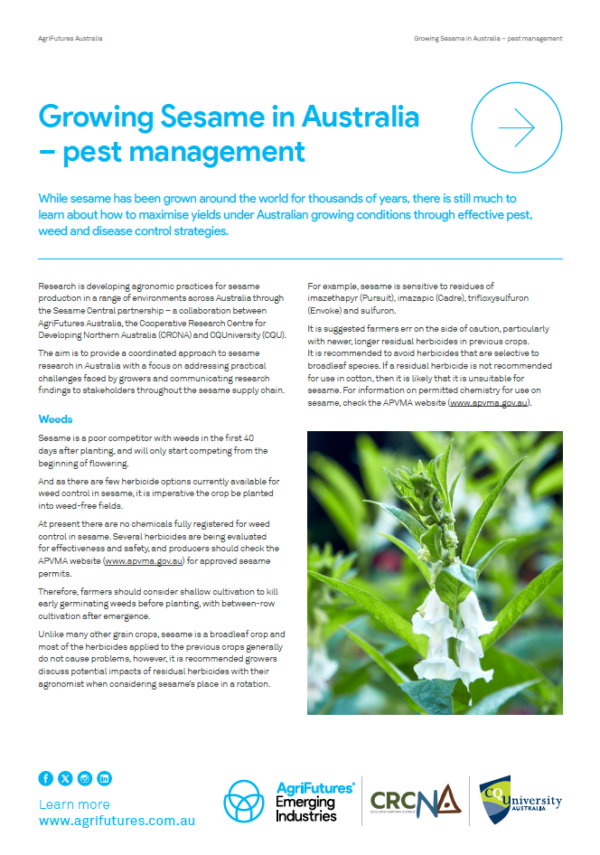 Fact sheet: Growing Sesame in Australia – pest management | AgriFutures ...
