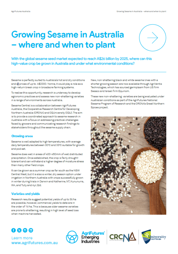 Fact sheet: Growing Sesame in Australia – Where and when to plant ...