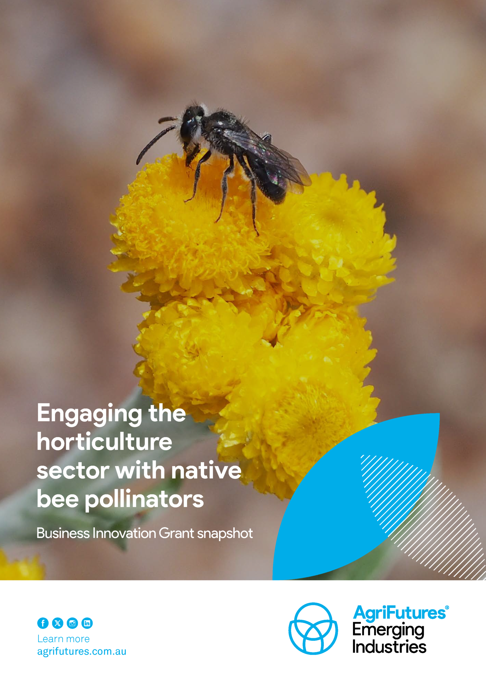 Engaging the horticulture sector with native bee pollinators ...