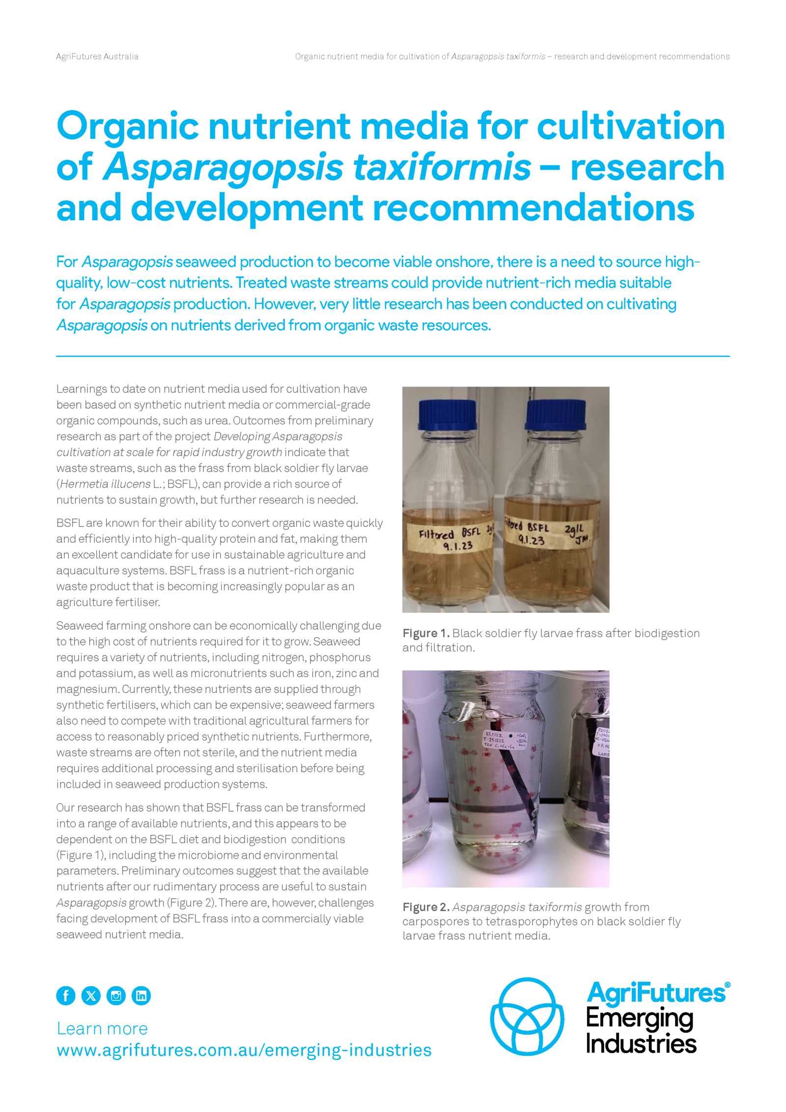Fact sheet: Organic nutrient media for cultivation of Asparagopsis ...