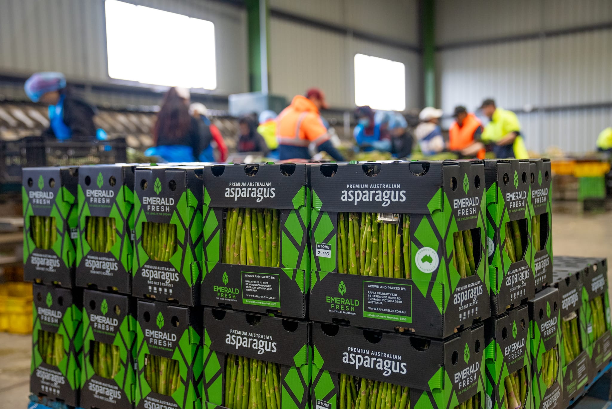 Detangling the blockchain: Solutions for the Australian agriculture ...