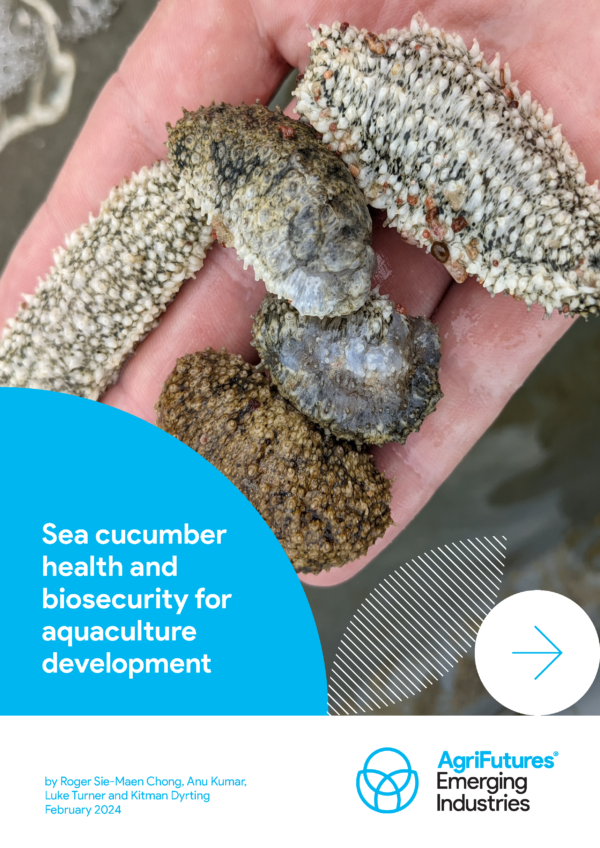 Sea cucumber health and biosecurity for aquaculture development ...