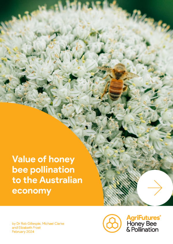 Value of honey bee pollination to the Australian economy | AgriFutures ...
