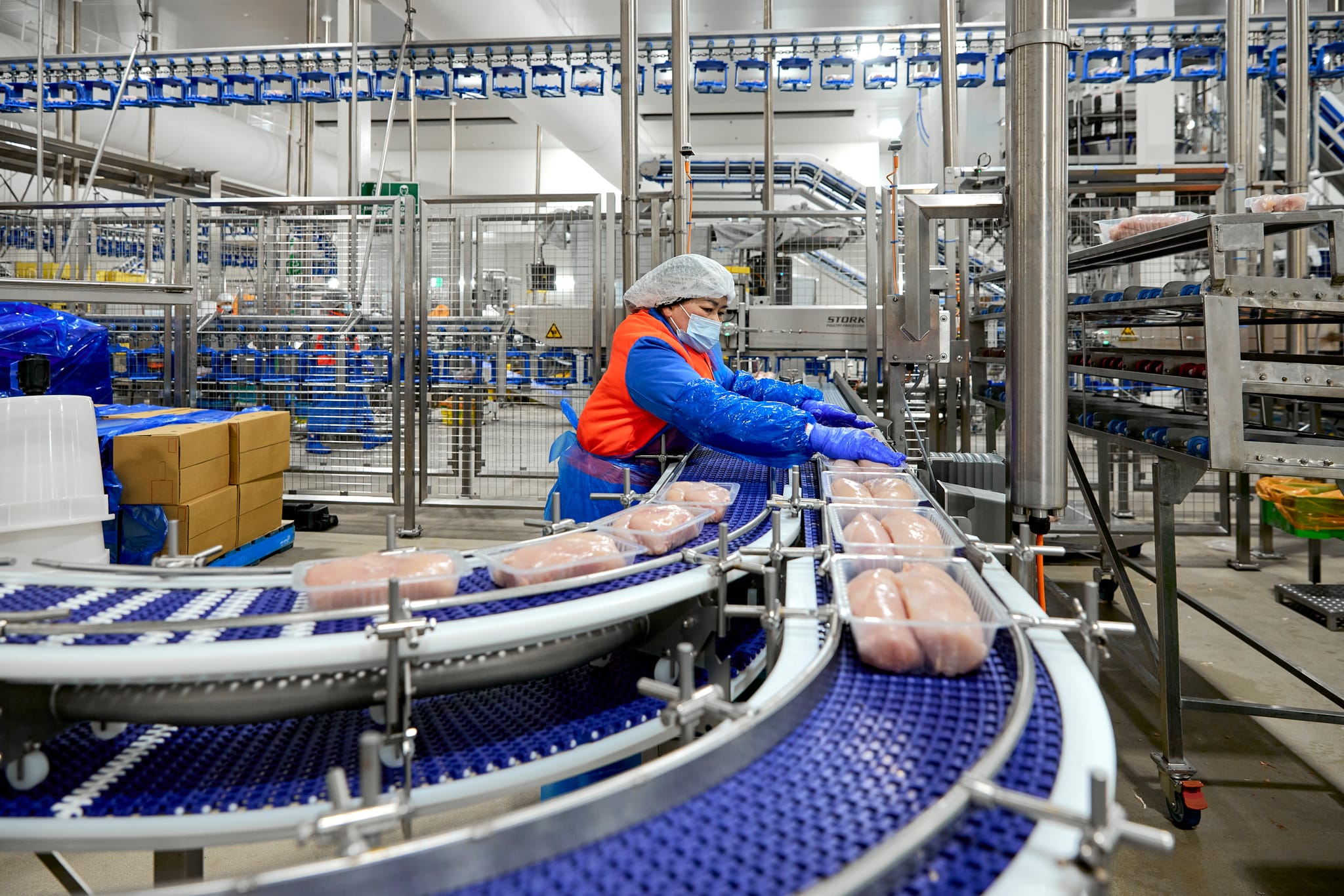 New workforce strategy for Australia’s $8 billion+ chicken meat ...