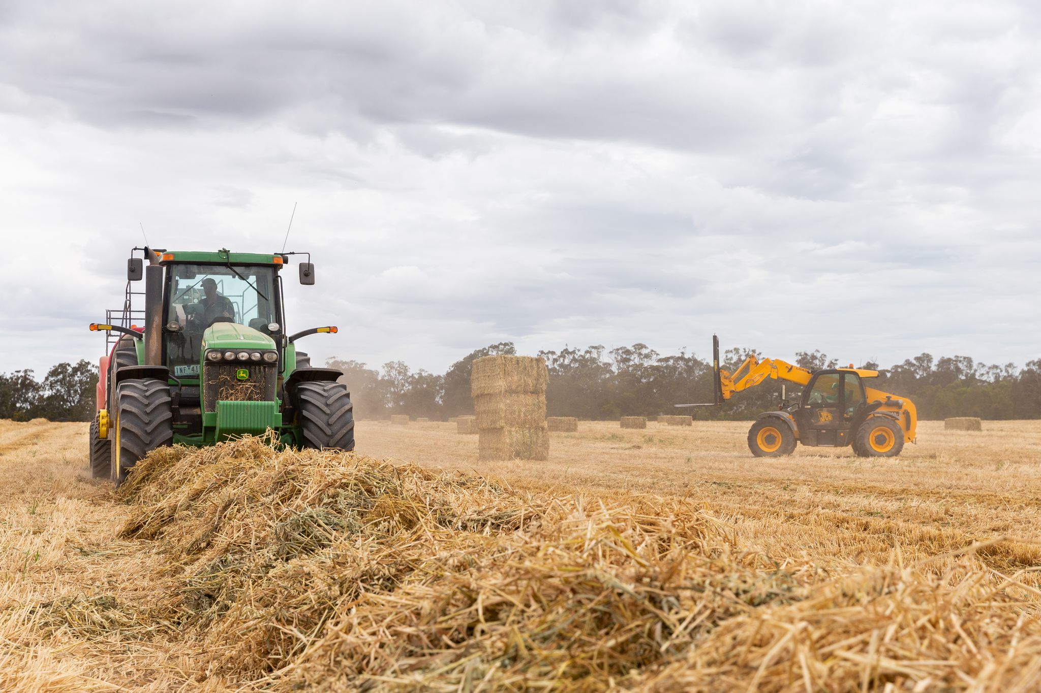 AgriFutures Export Fodder Program Research, Development and Extension ...