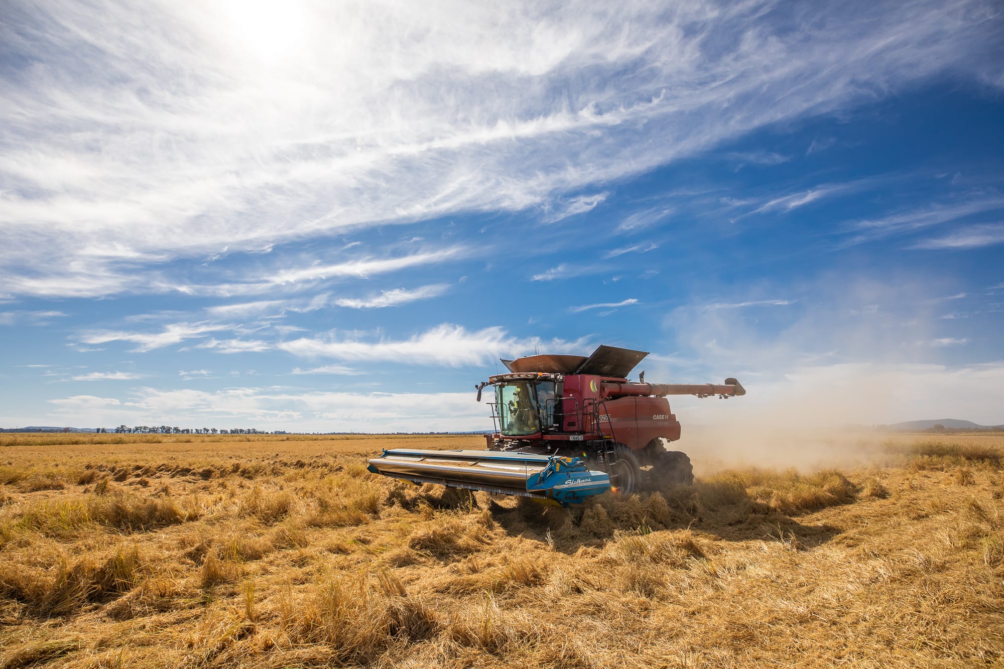 Rice | AgriFutures Australia