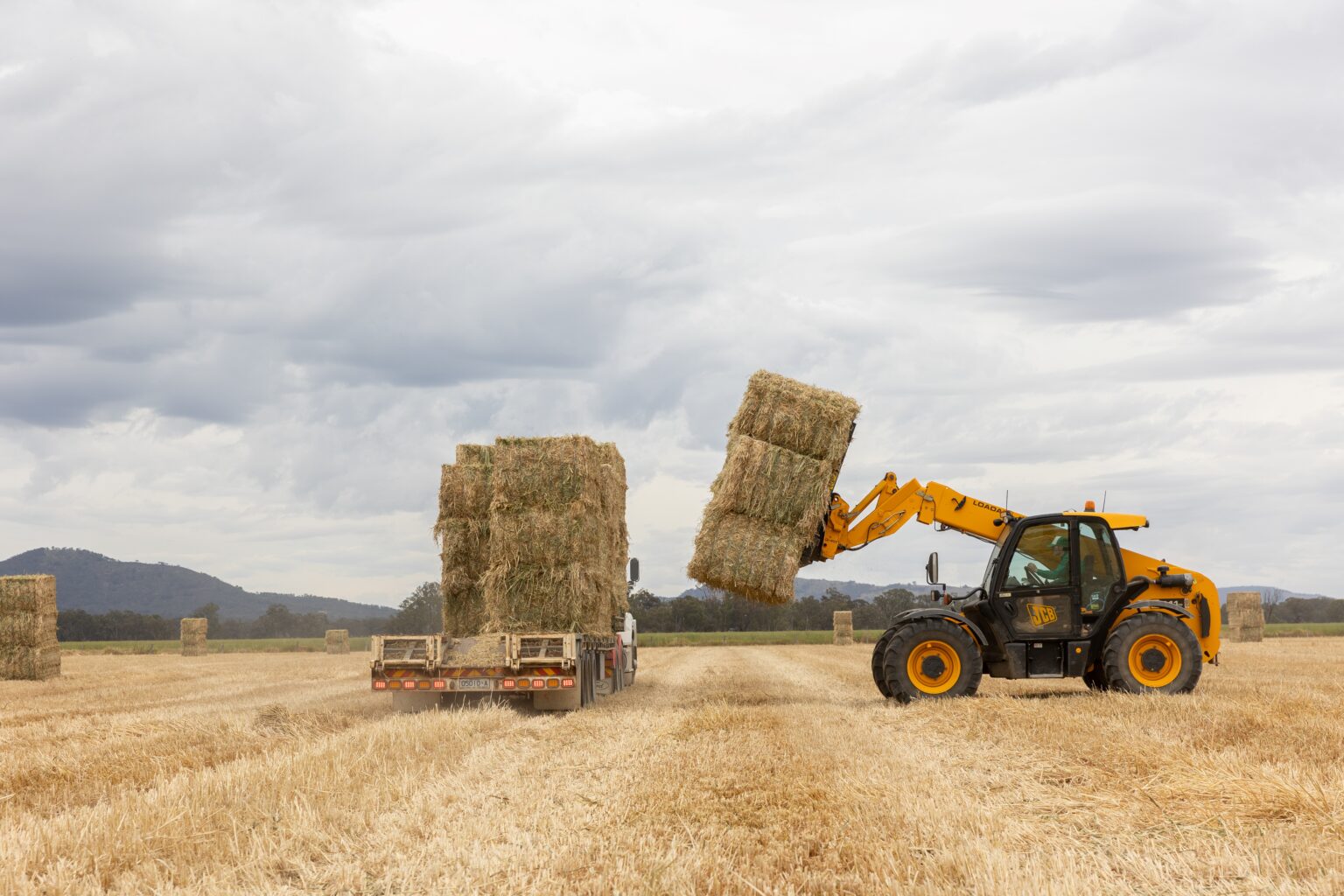 New project to help in the fight against farm injury | AgriFutures ...