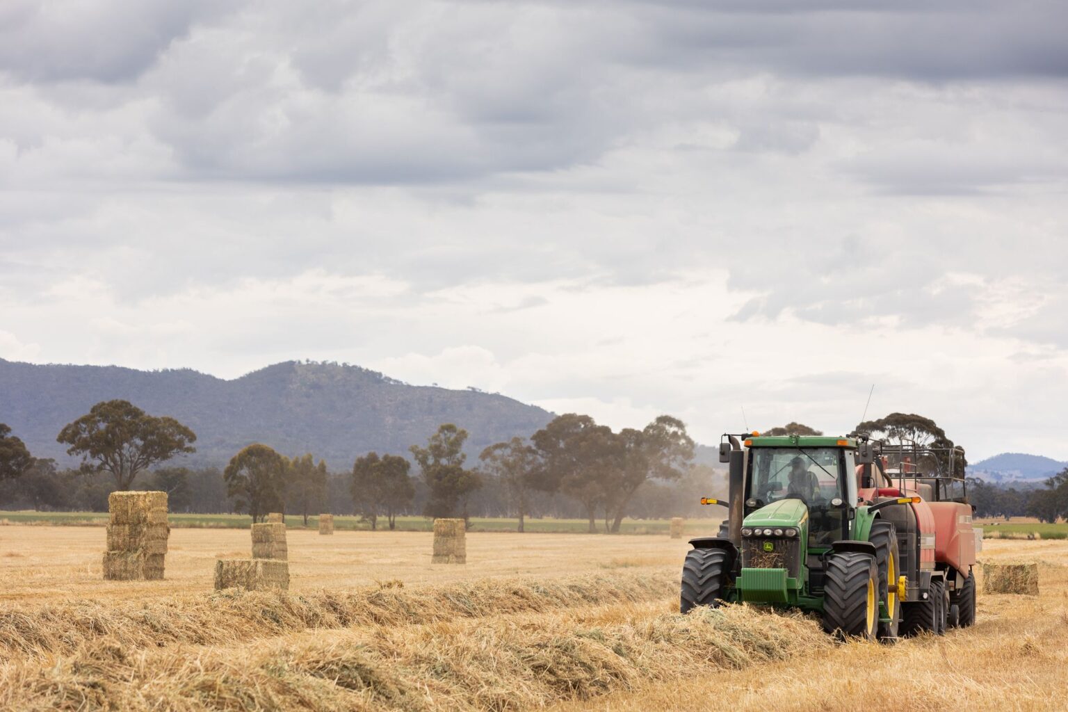Export fodder projects underpin a growing global market | AgriFutures ...