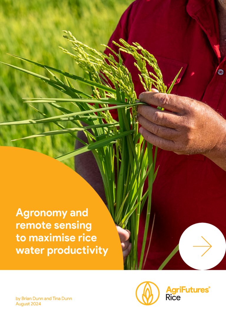 Agronomy and remote sensing to maximise rice water productivity ...