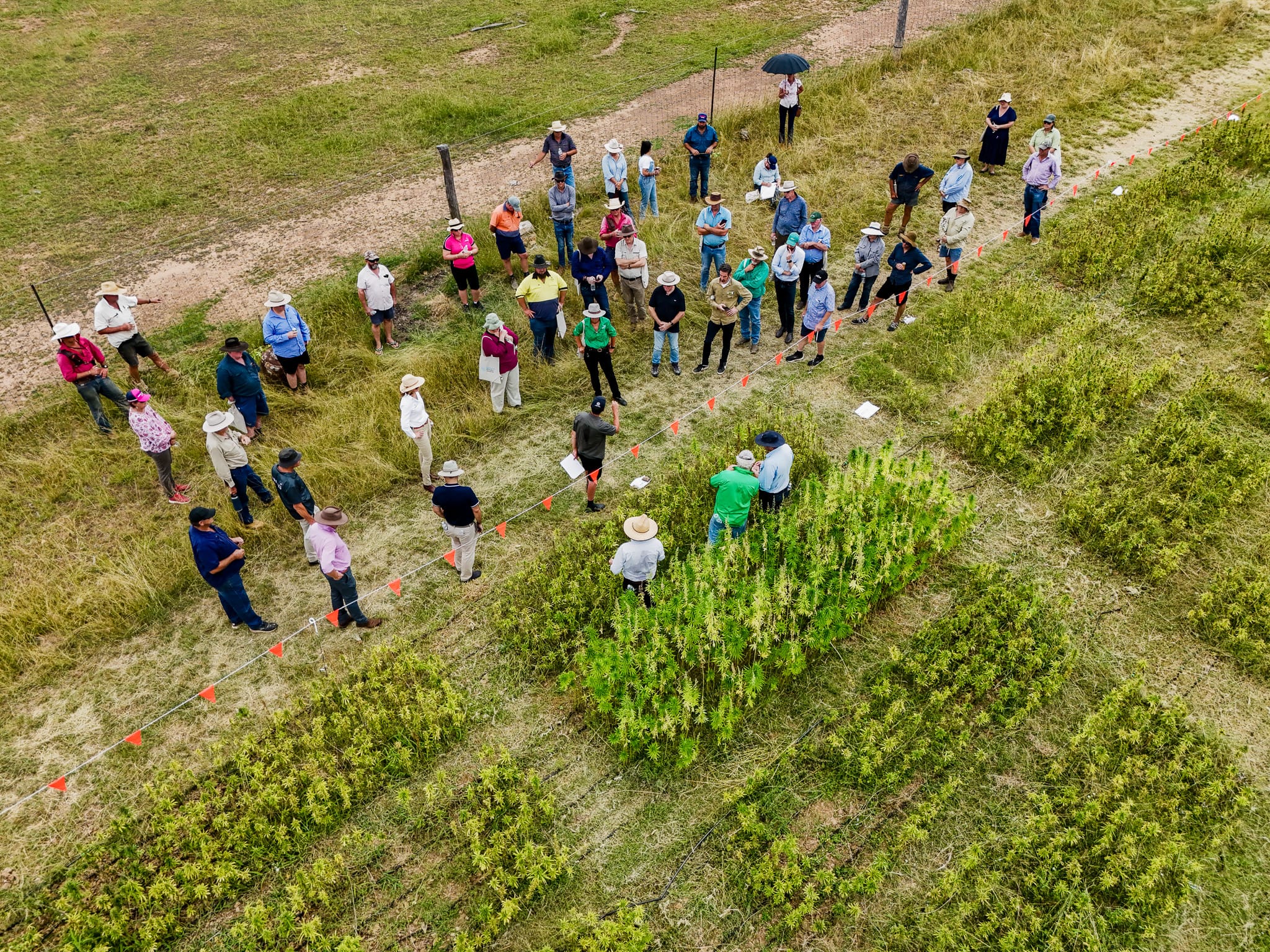 Australian extension capacity and capability: A map and a gap analysis ...