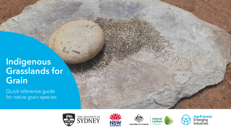 Indigenous Grasslands for Grain: Quick Reference Guide for Native Grain ...