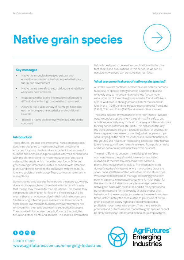 Fact sheet: Native grain species | AgriFutures Australia
