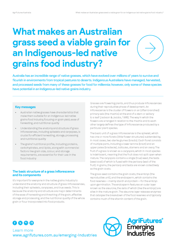 Fact sheet: What makes an Australian grass seed a viable grain for an ...