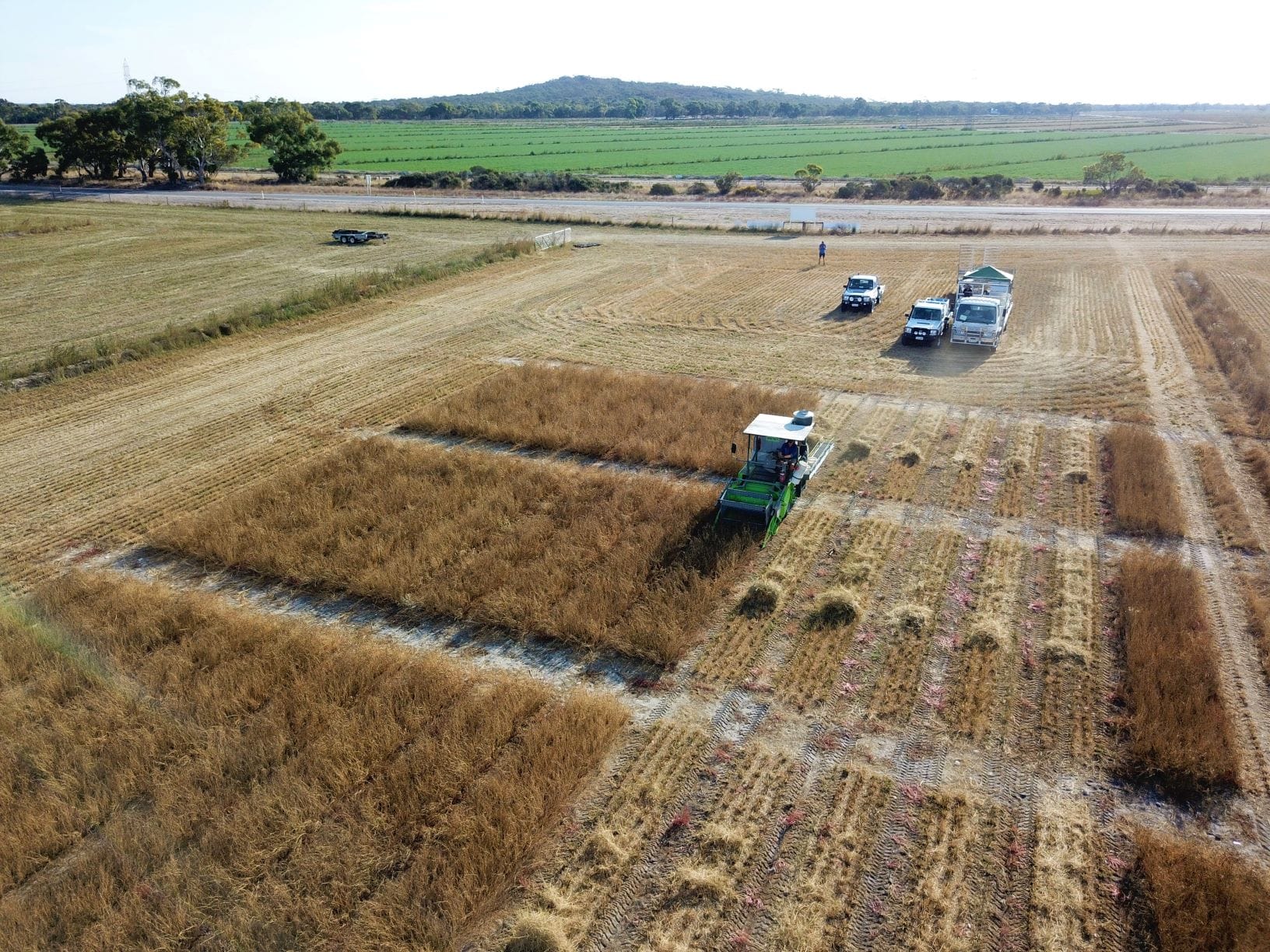 Lucerne variety trial: Assessment of the optimum plant stress level for ...