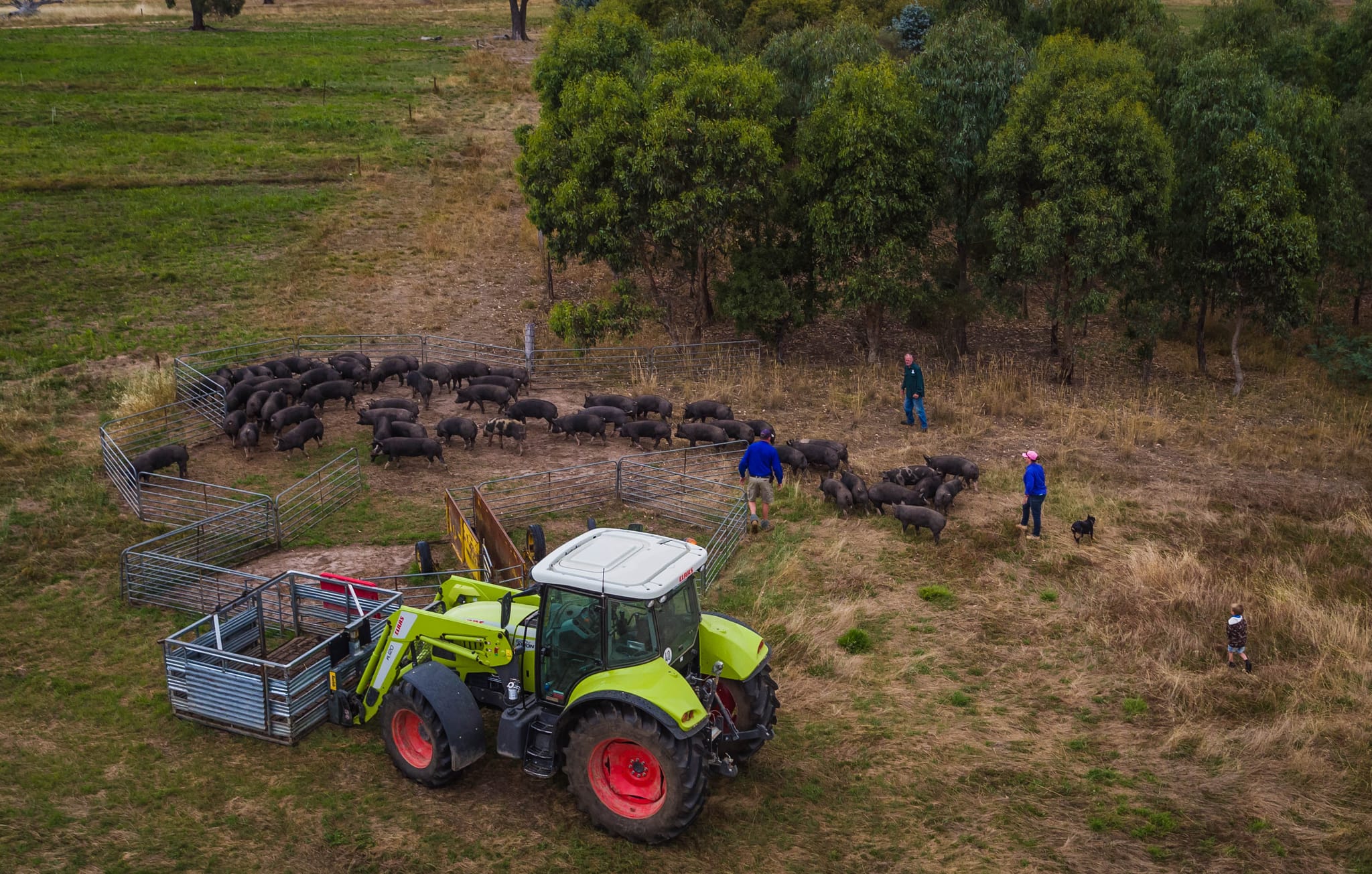 Non-intentional farm-related incidents in Australia – January 2025 ...