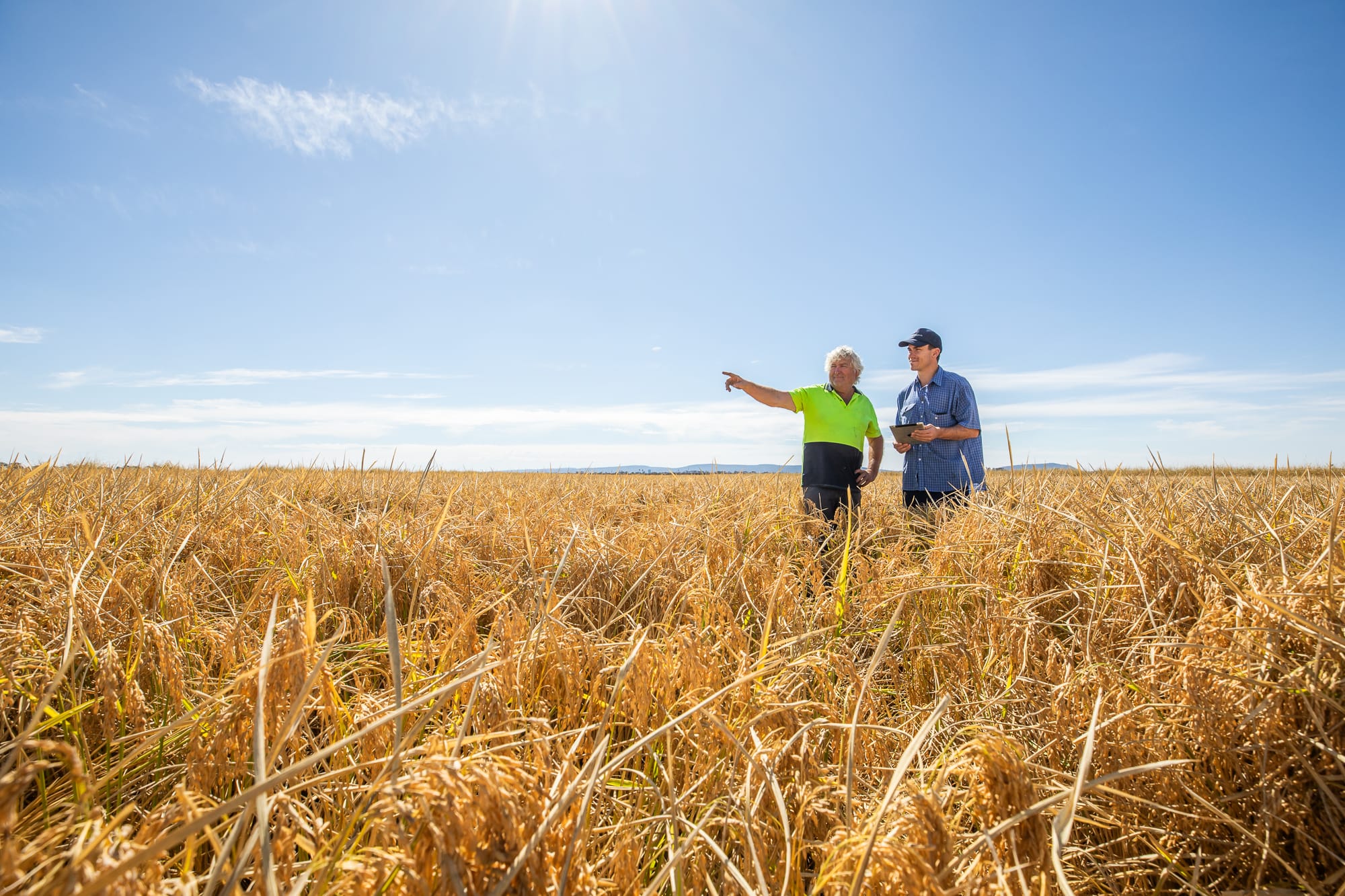 Sharp rise in farm injuries sparks urgent safety warning | AgriFutures ...