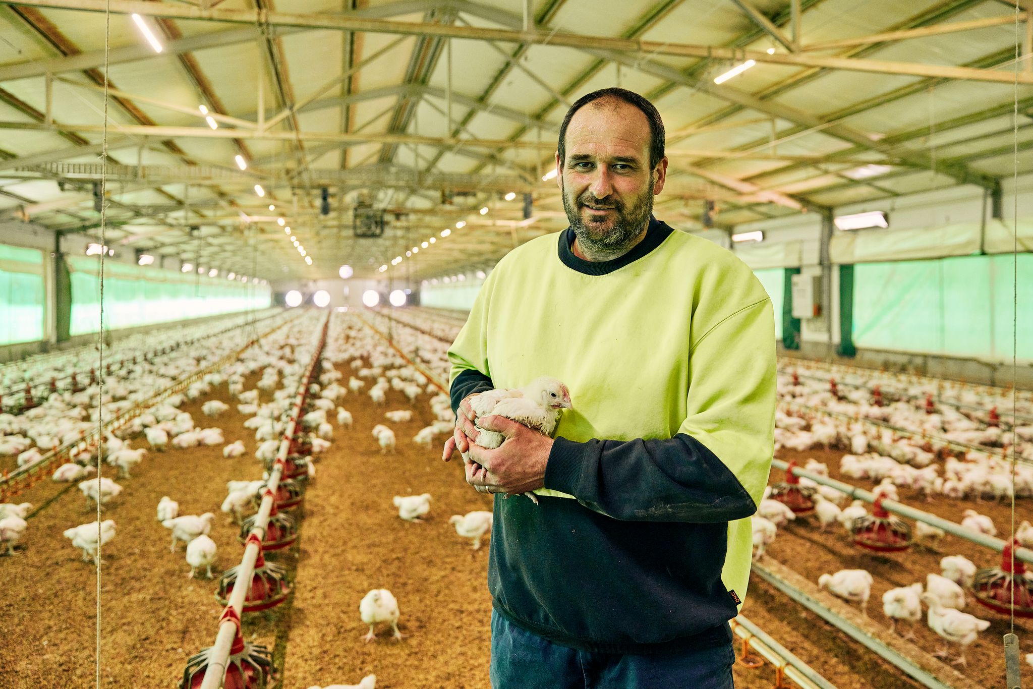 Australian chicken meat industry seeks to harness the power of ...