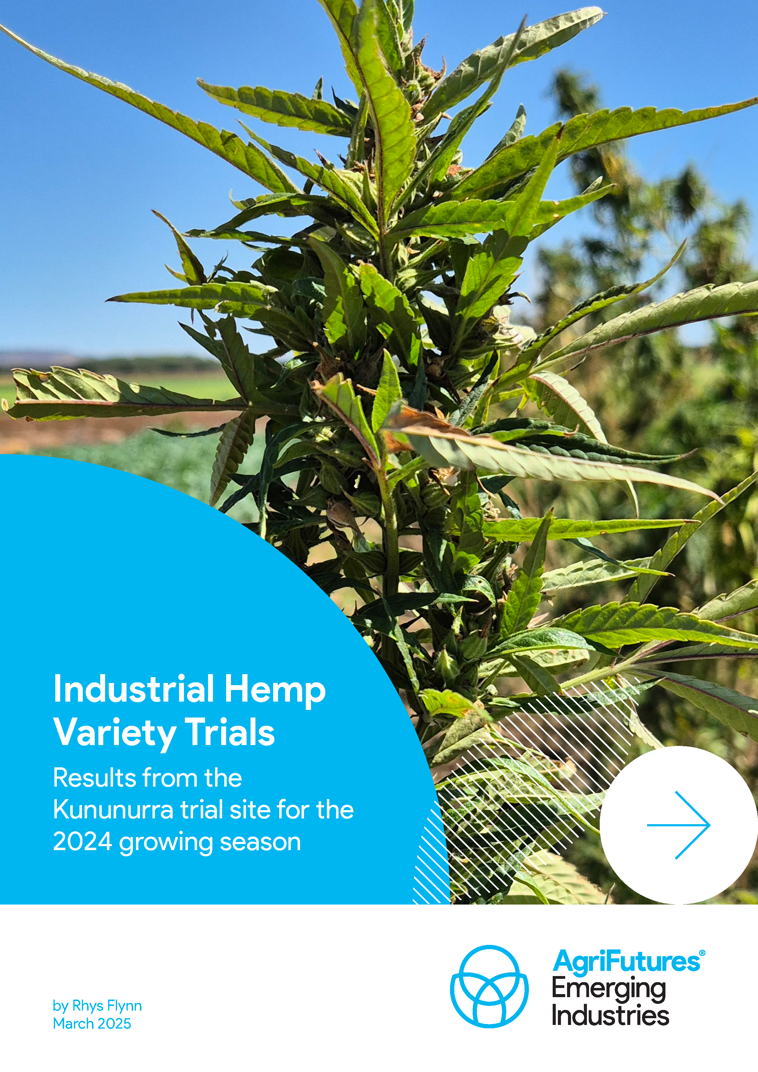 Industrial Hemp Variety Trials: Results from the Kununurra trial site ...