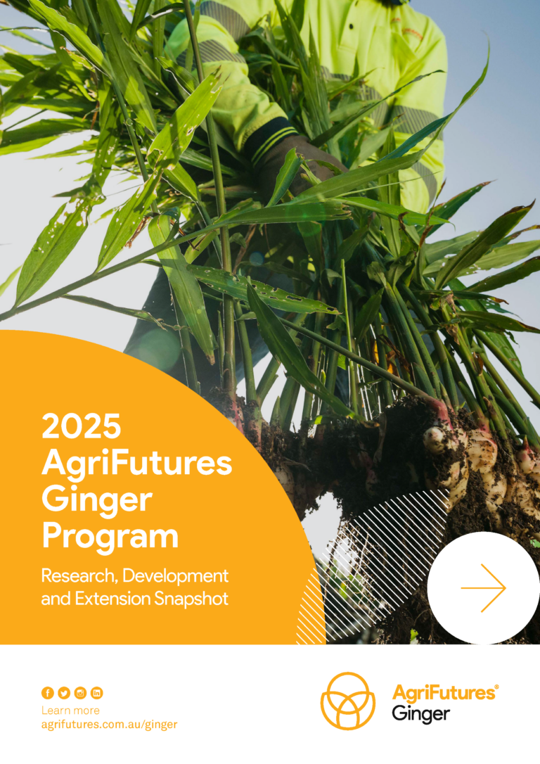 AgriFutures Ginger Program Research, Development and Extension Snapshot ...
