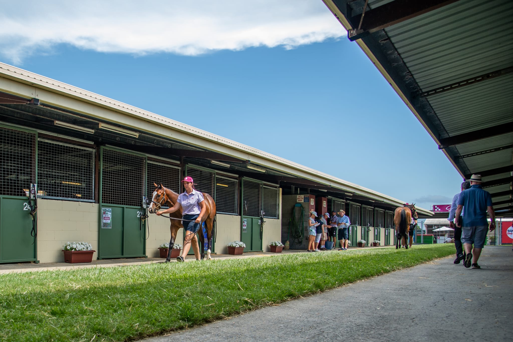 Australia’s thoroughbred breeding industry valued at $1.68 billion ...
