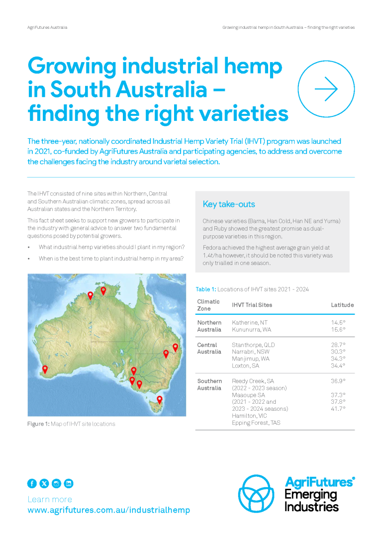 Growing industrial hemp in South Australia– finding the right varieties | AgriFutures Australia