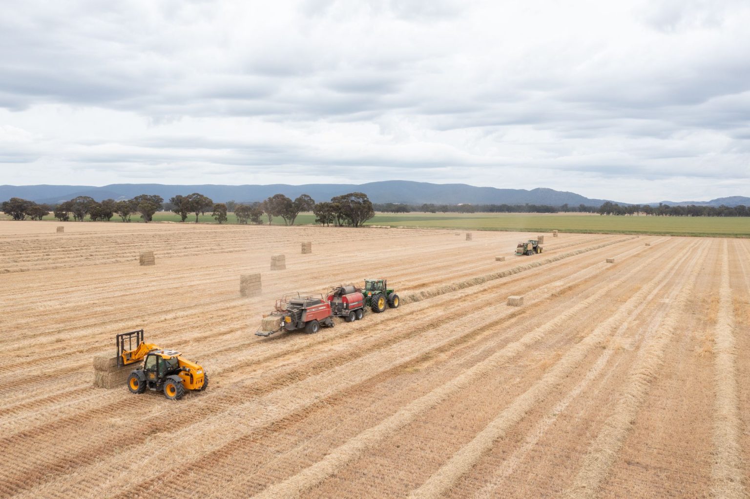 Export Fodder | AgriFutures Australia
