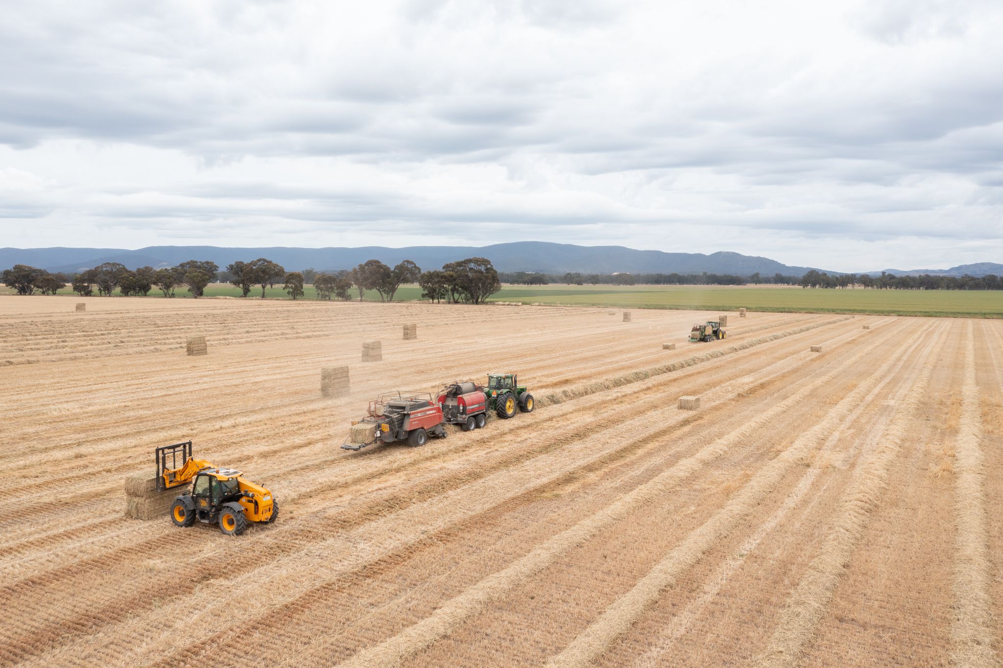 Robust science opens hay industry options | AgriFutures Australia