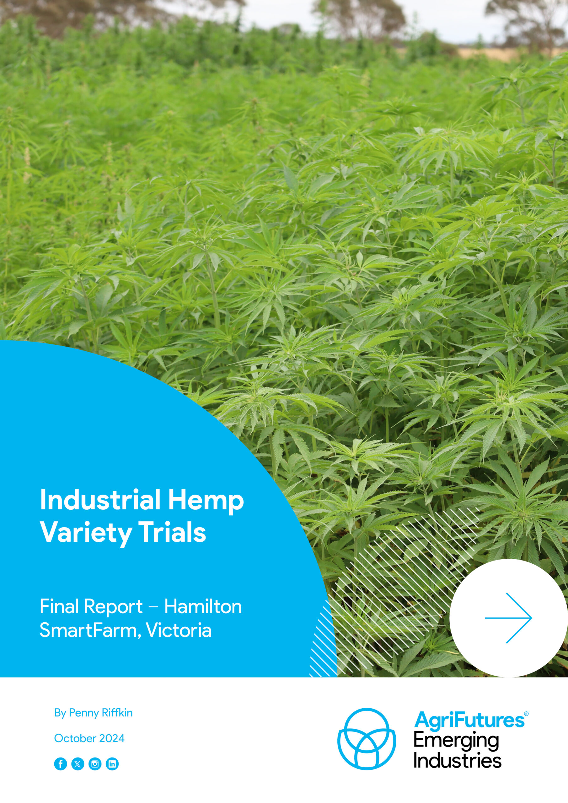 Industrial Hemp Variety Trials Final Report – Hamilton SmartFarm ...