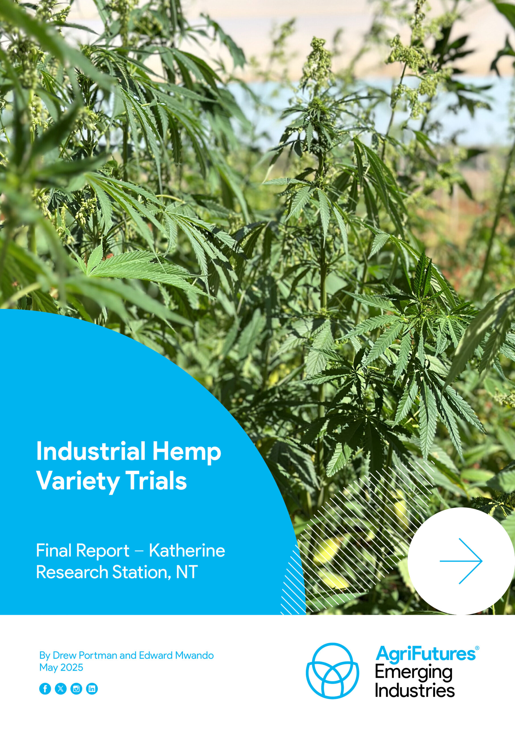 Industrial Hemp Variety Trials Final Report – Katherine Research ...