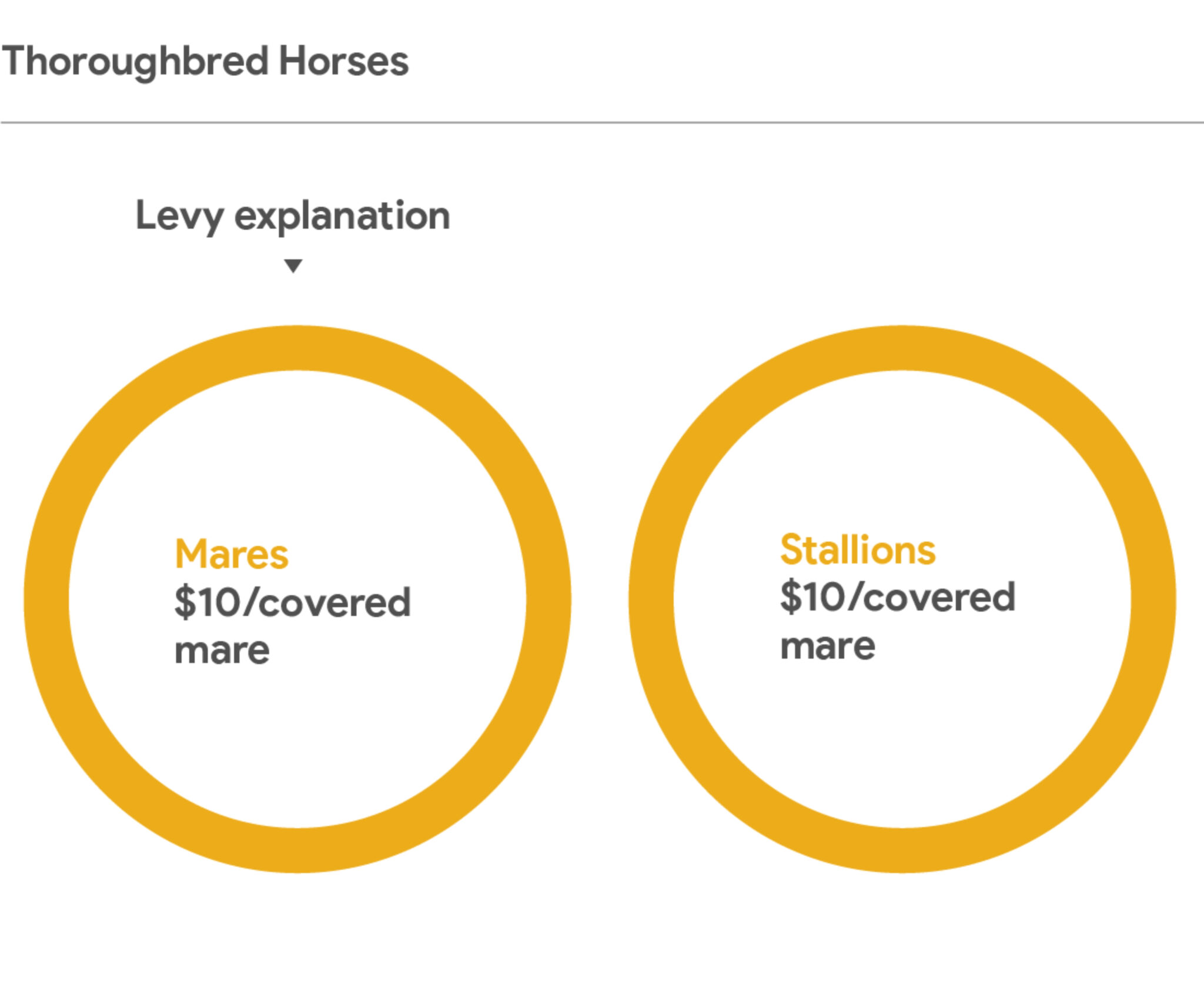 Thoroughbred Horses | AgriFutures Australia