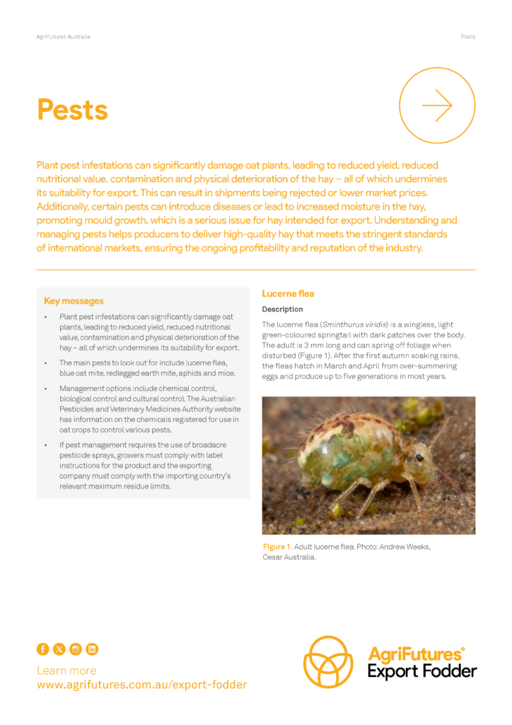 Fact sheet: Pests | AgriFutures Australia